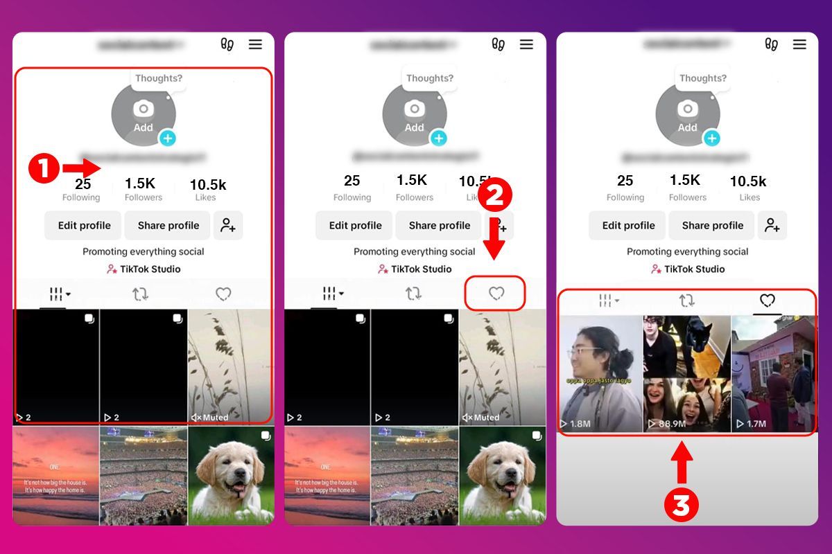 How to See Other Users' Video Likes on TikTok